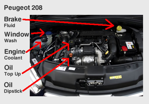 Think Driving School Show Me Tell Me Questions